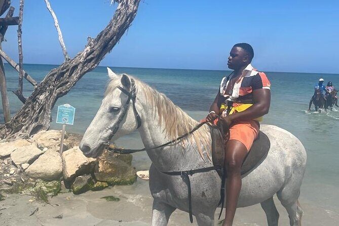 Private Horse Back Riding and Blue hole from Montegobay - What to Expect from This Jamaican Adventure