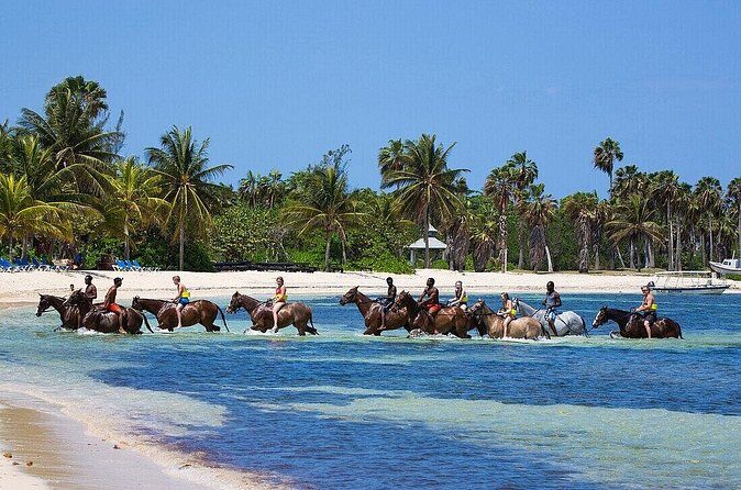 Private Horse Back Riding And Dunns' River Falls From Montego bay - FAQs