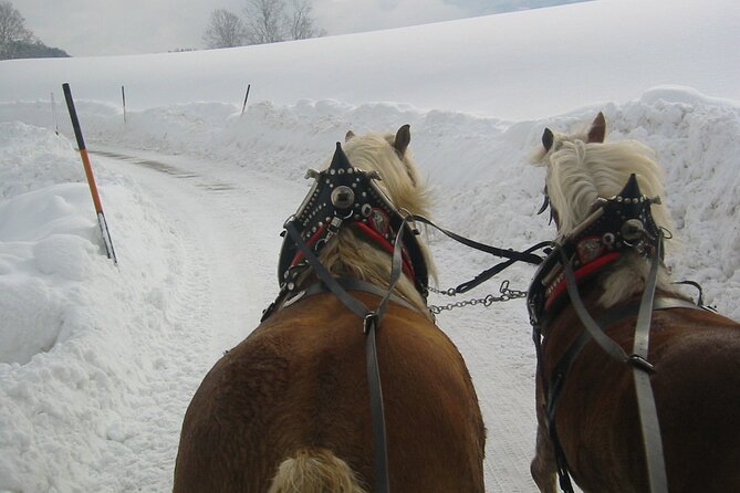 Private Horse-Drawn Sleigh Ride From Salzburg - Itinerary and Experience