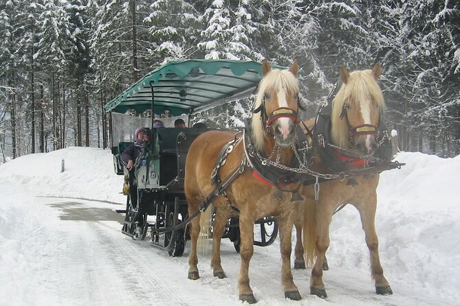 Private Horse-Drawn Sleigh Ride From Salzburg - Exploring Local Traditions and Cuisine
