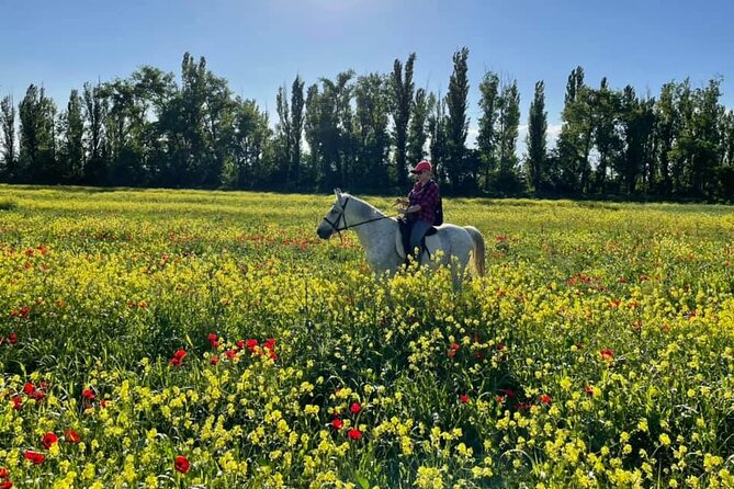 Private Horse Ridding Tour - Horse Riding Experience