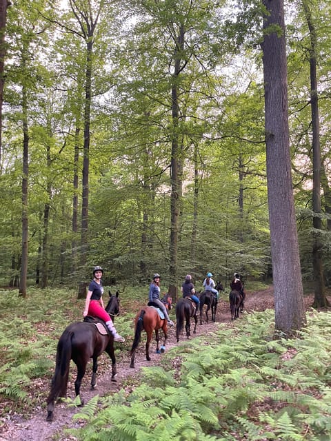 Private Horse Ride experience - An Authentic Ride in the Forests of Hauts-de-France