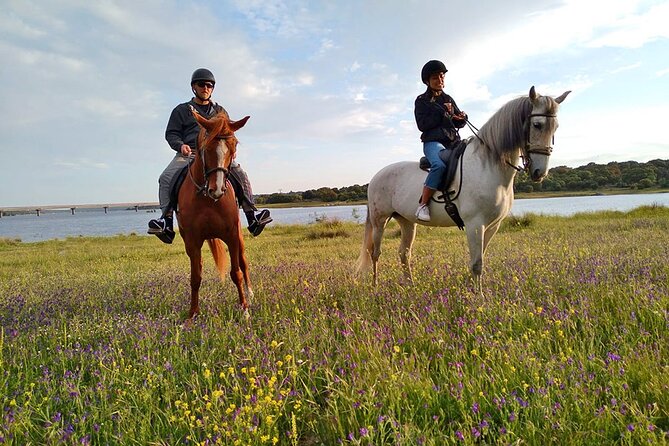 Private Horse Ride in Madrid Natural Park Reserve - Scenic Trails and Wildlife Encounters