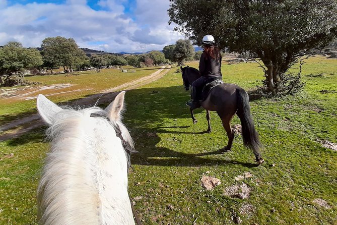 Private Horse Ride in Madrid Natural Park Reserve - Meeting Point and Tour Logistics