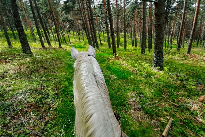 Private Horse Ride in Madrid Natural Park Reserve - Traveler Testimonials and Recommendations