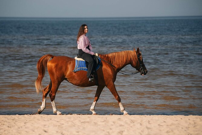 Private Horse Riding on the Beach in Riga - Introduction: Riding the Waves in Riga — Is It Worth It?