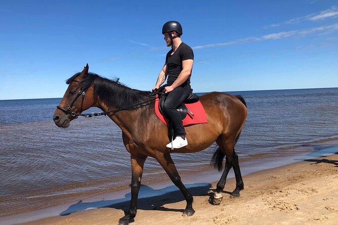 Private Horse Riding on the Beach in Riga - What Do the Reviews Say?