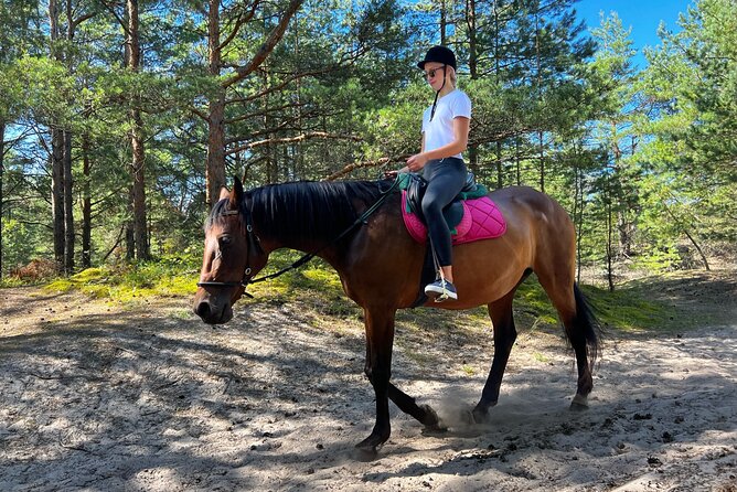 Private Horse Riding on the Beach in Riga - Who Should Book This Tour?