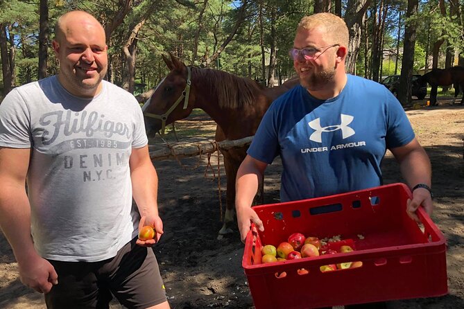 Private Horse Riding on the Beach in Riga - The Sum Up: Is It Worth It?