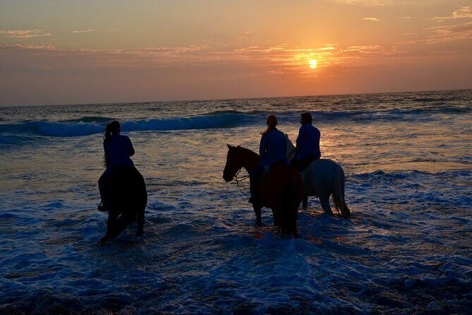 Private Horseback Beach + Bufadora Shore Excursion - The Sum Up