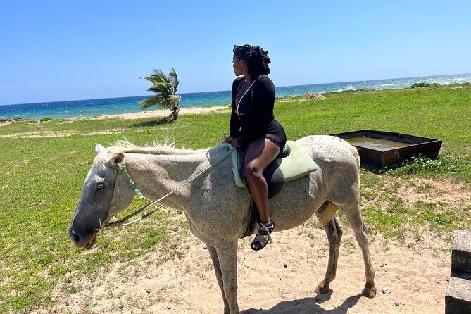 Private Horseback Ride and Swim from Montego Bay - What’s Included & What to Bring