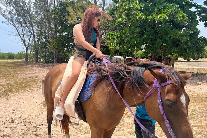 Private Horseback Ride and Swim from Montego Bay - FAQ