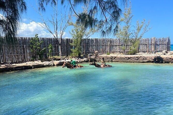 Private Horseback ride and swim in Montego Bay - What to Expect from the Horseback Ride n Swim Adventure