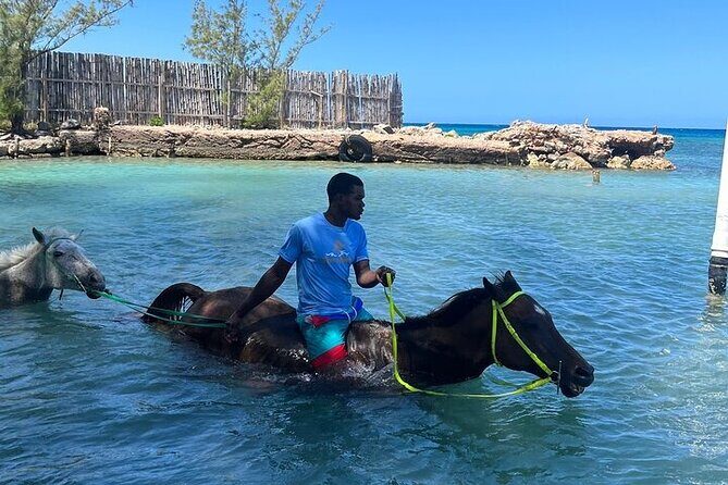 Private Horseback ride and swim in Montego Bay - Who Will Love This Tour?