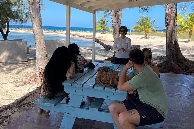 Private Horseback ride and swim in Montego Bay - The Bottom Line