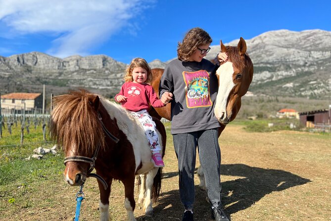 Private Horseback Riding and Family Time in Konavle Region - Authenticity and Value