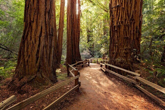 Private Horseback Riding and Muir Woods Adventure from San Francisco - Authentic Traveler Insights