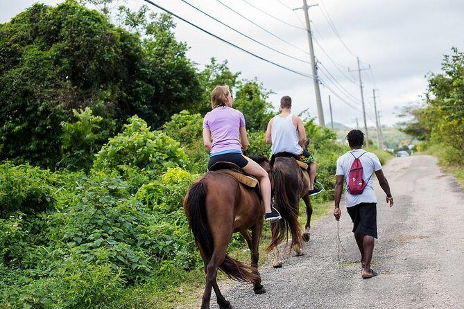 Private Horseback Riding from Ocho Rios with Guide - A Deeper Look at the Tour Experience