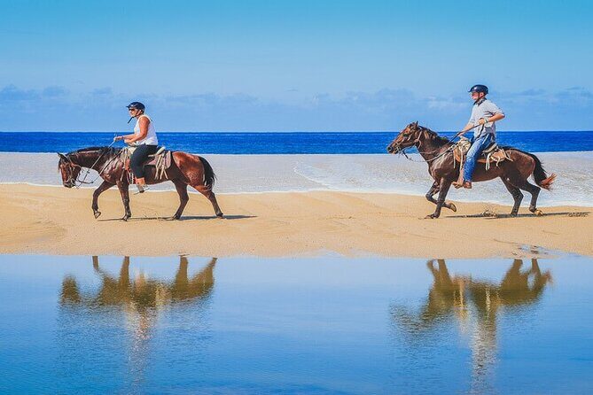 Private Horseback Riding in Cabo San Lucas - An Authentic and Scenic Equestrian Adventure