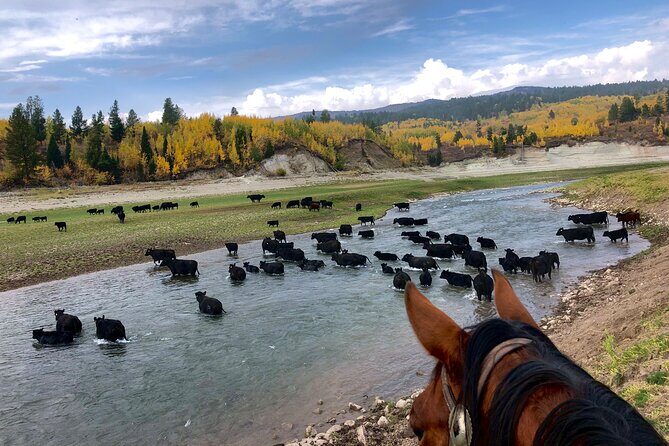 Private Horseback Riding in Wyoming - A Day with Cowboys in Wyoming: What to Expect