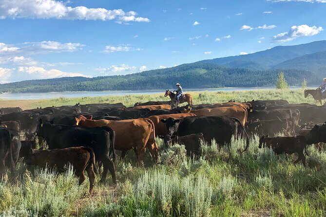 Private Horseback Riding in Wyoming - Practical Details and Logistics