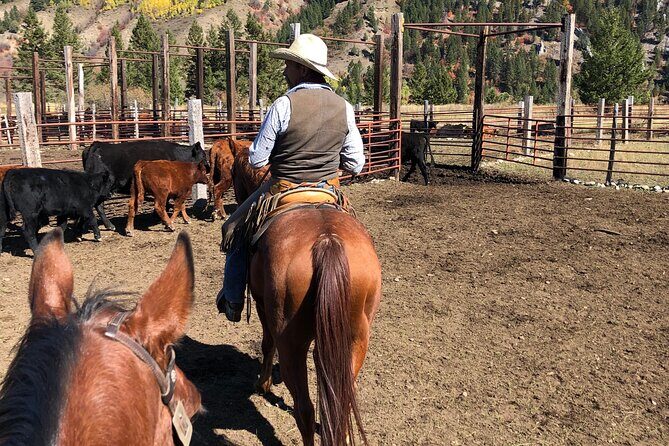 Private Horseback Riding in Wyoming - Final Thoughts