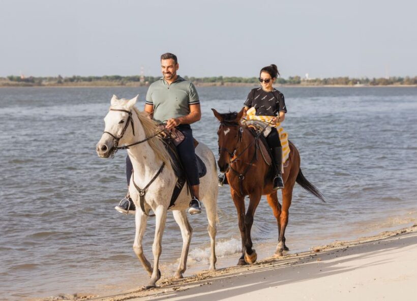 PRIVATE Horseback Riding On The Beach - Final Thoughts: Who Should Consider This Tour?