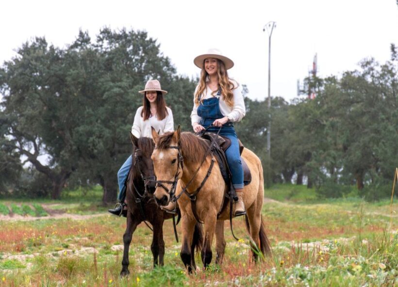 PRIVATE Horseback Riding + Picnic On The Beach - Key Points