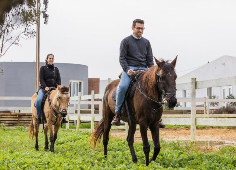 PRIVATE Horseback Riding + Picnic On The Beach - FAQ