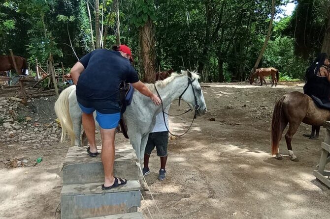 Private Horseback Riding, Swimming and Blue Hole Falls Tour - FAQ