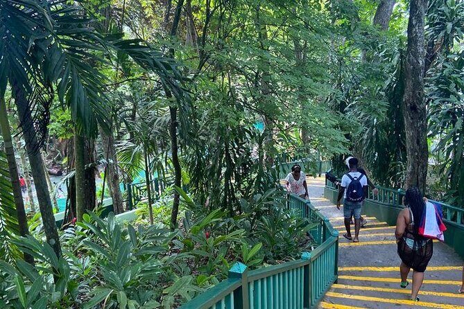 Private Horseback Riding, Swimming and Dunn's River Falls Tour - What Travelers Are Saying