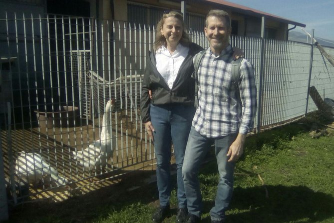 Private Horseback Riding Tour in Sicilian Countryside + Tradional Lunch - Guest Reviews and Feedback