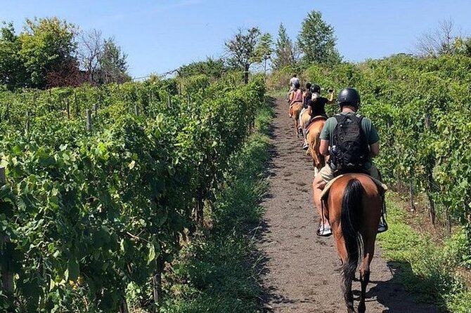 Private Horseback Riding Tour of the Vineyards in Verona with Wine Tasting - A Closer Look at the Verona and Valpolicella Experience