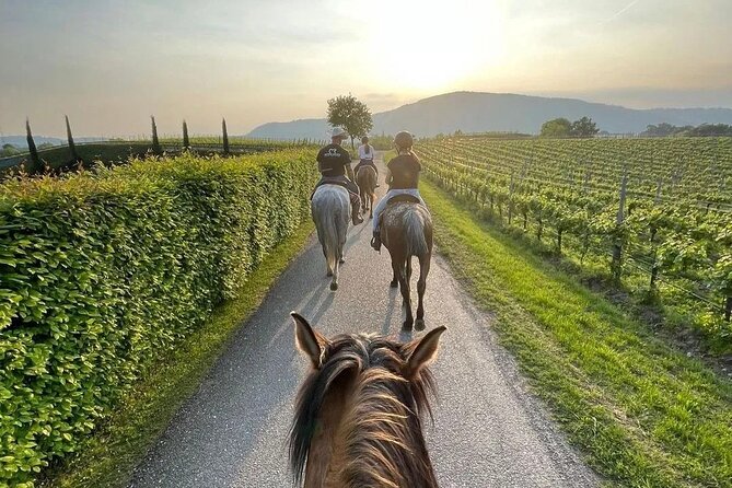 Private Horseback Riding Tour of the Vineyards in Verona with Wine Tasting - Final Thoughts: Is This Tour Worth It?