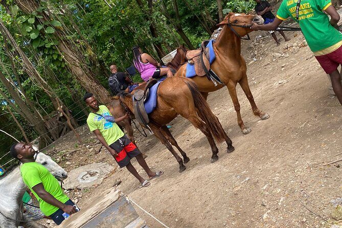 Private Horseback Riding with Blue Hole River Tour in Montego Bay - The Sum Up