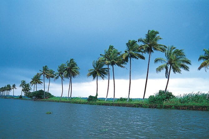 Private Houseboat Backwater Day Cruise tour with Lunch from Cochin - An In-Depth Look at the Kerala Backwater Day Cruise
