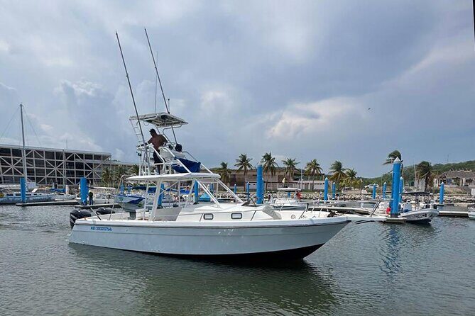 Private Huatulco Whale & Dolphin Adventures - What to Expect on Your Marine Adventure in Huatulco