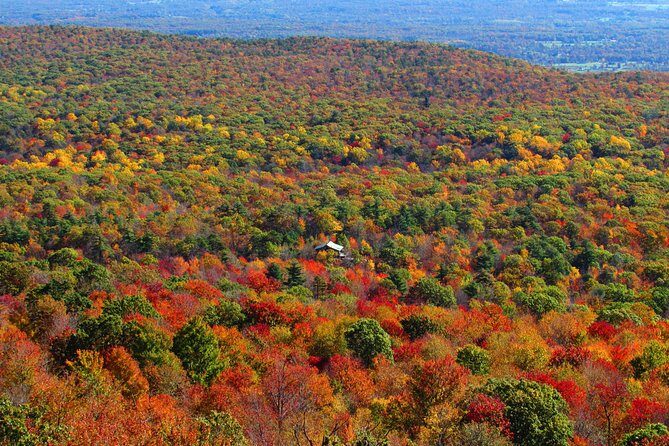 Private Hudson Valley Fall Foliage Helicopter Charter from Manhattan - Practical Considerations