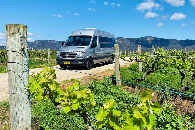 PRIVATE Hunter Valley All-Incl Premium Wine Tasting Tour (10 hrs) - Final Thoughts: Is This Tour for You?
