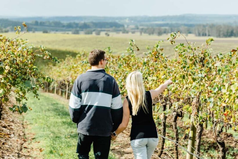Private Hunter Valley Wine Tour Departing from Newcastle - An Introduction to the Experience