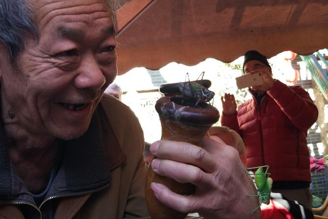 Private Hutong Culture Tour with Dumpling Cooking Class plus Cricket Fighting Game - Is the Tour Worth the Price?