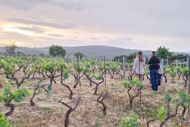 Private Hvar Cooking Classes, Dinners & 'Poje' Field Tour! - Key Points