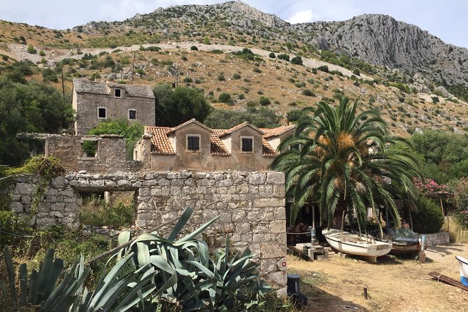 Private Hvar Island Tour and Olive Oil Tasting - Discovering Local Olive Oil Production