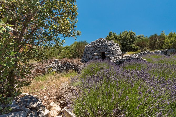 Private Hvar Island Tour and Olive Oil Tasting - Frequently Asked Questions