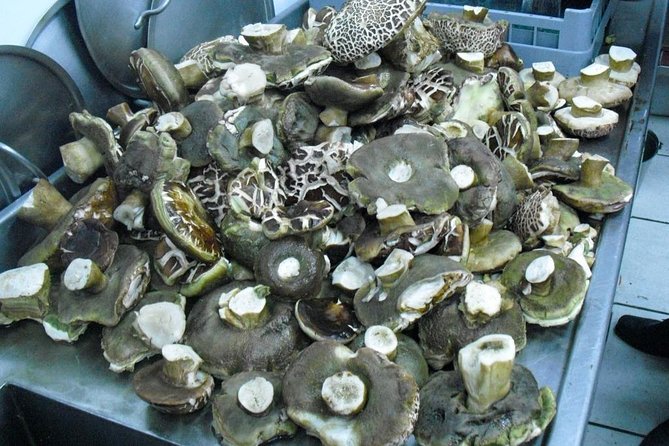 Private Iberian Ham Tour to the Sierra De Aracena - Taking in the Local Culture and Traditions