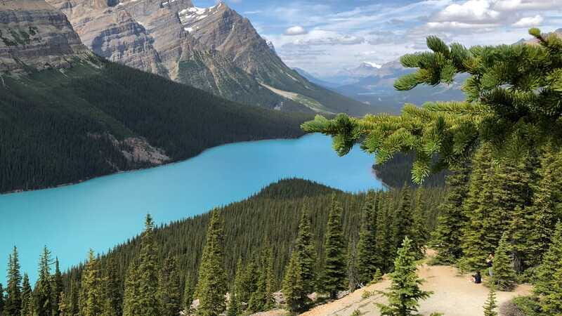 Private Icefields Parkway Tour w/ Lake Louise & Moraine Lake - Transportation & Logistics
