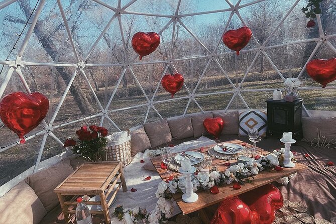 Private Igloo Picnic Experience Hungary - Key Points