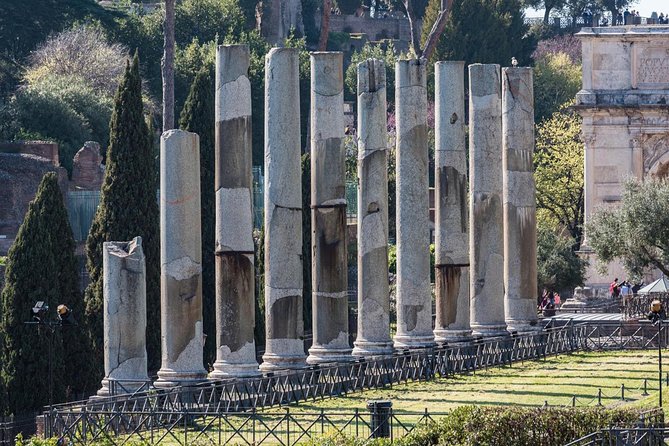 Private Immersive Colosseum Tour - Authentic Experiences and Review Highlights
