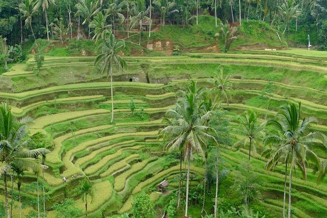 Private Inclusive Tours: 2 Days highlight of Bali - Why This Tour Offers Great Value