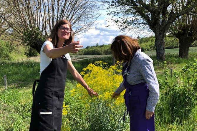 Private Introduction to plant color in Forcalquier in Provence - Hands-On and Creative Process